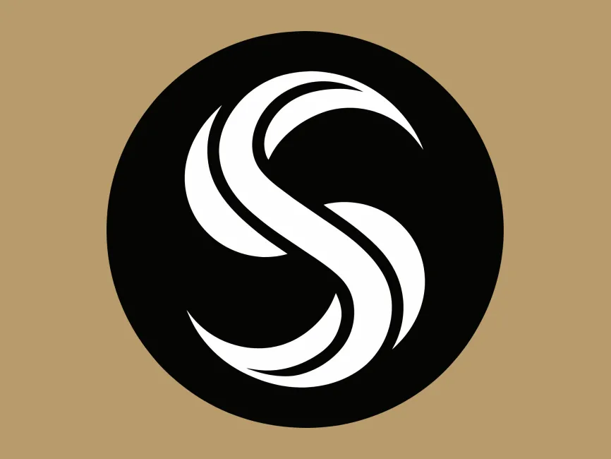 Geometric S Letter Shape in Circle Logo Template PNG vector in SVG, PDF ...