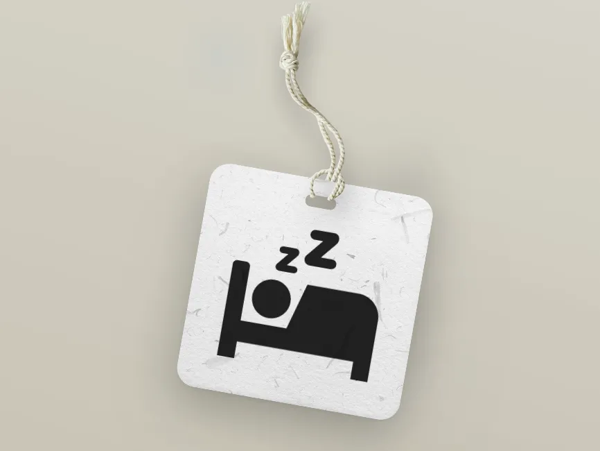 Snoring on Bed Icon PNG vector in SVG, PDF, AI, CDR format