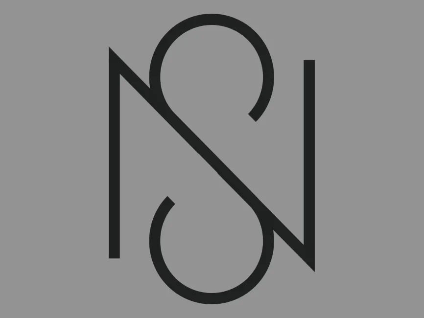 Modern NS Letters Logo Template PNG vector in SVG, PDF, AI, CDR format
