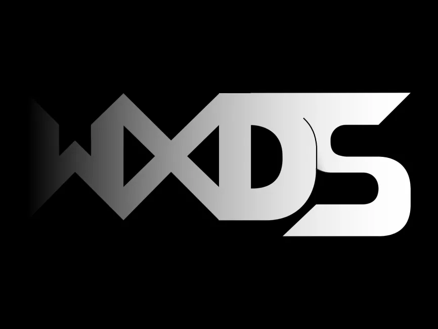 WXDS 2017 Years 2st Logo Vector File Download | Logowik